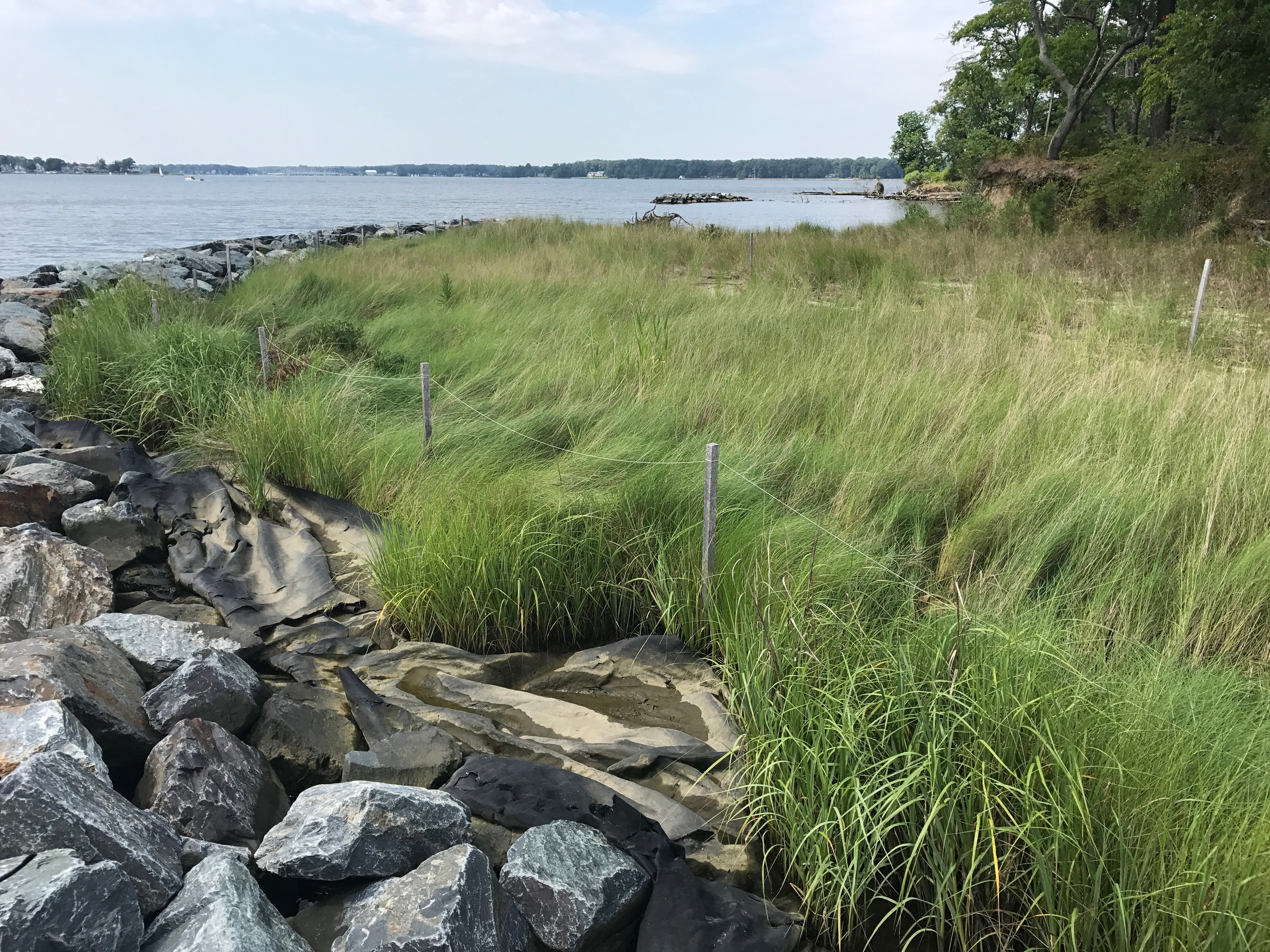 Living Shorelines Grants Technical Assistance Program Coastal Living Shorelines Grants Technical Assistance Program Coastal