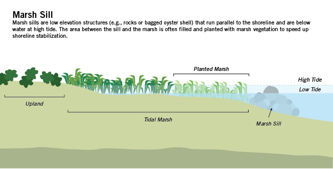 Restoration Explorer | Coastal Resilience