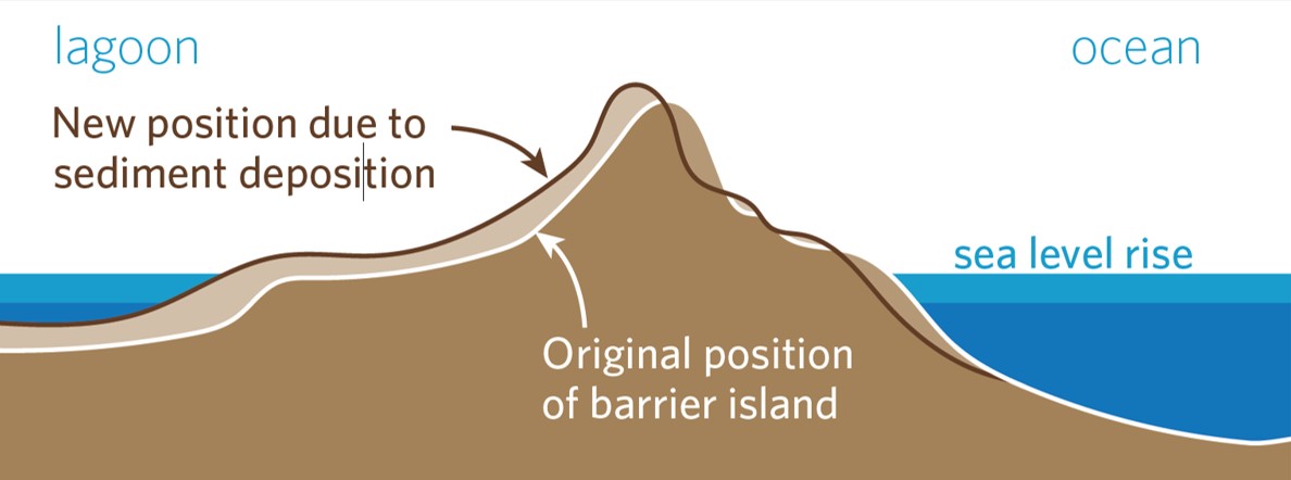 Coastline Change: Future Scenarios | Coastal Resilience